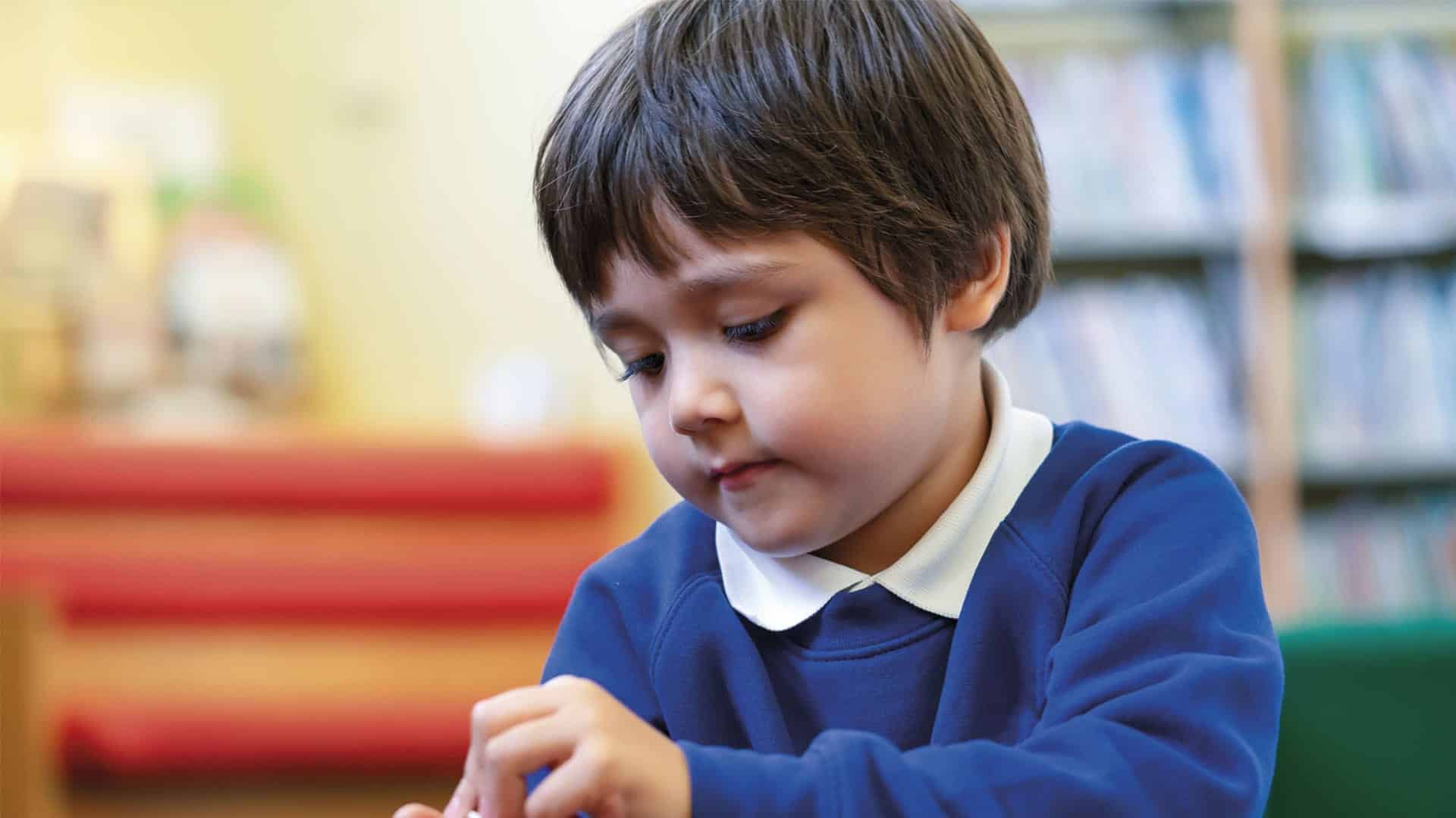 Primary Schools - Emu Ink